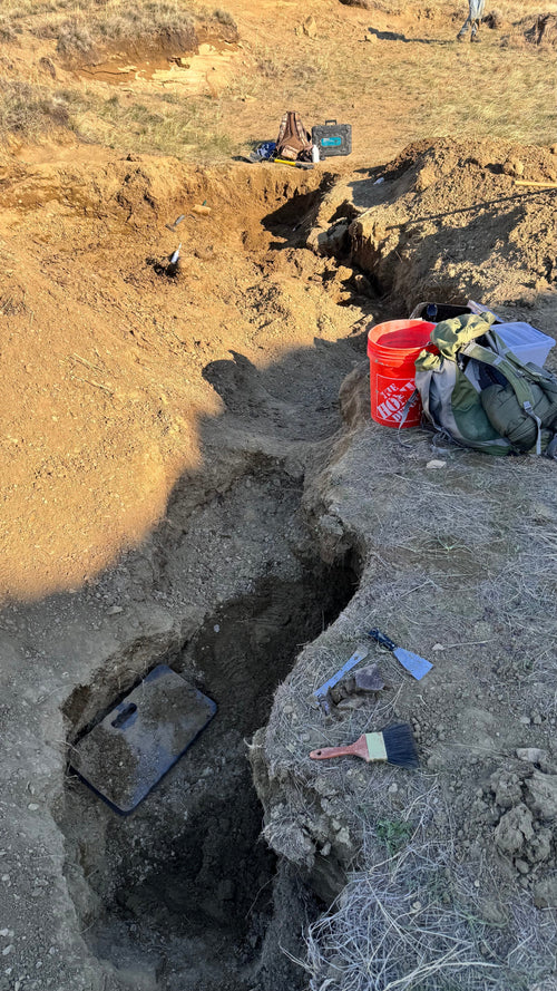 Fossil Hunting in the Lance Formation