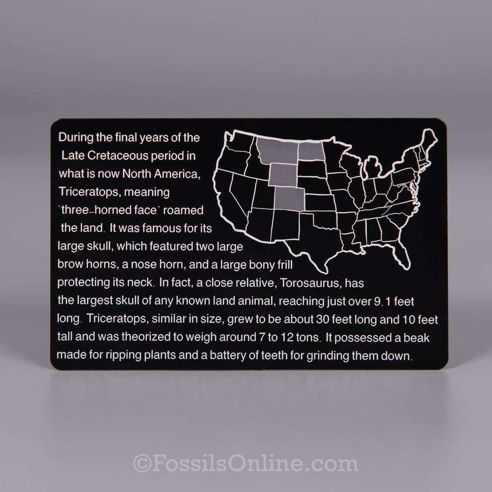 Triceratops Fossil ID Card