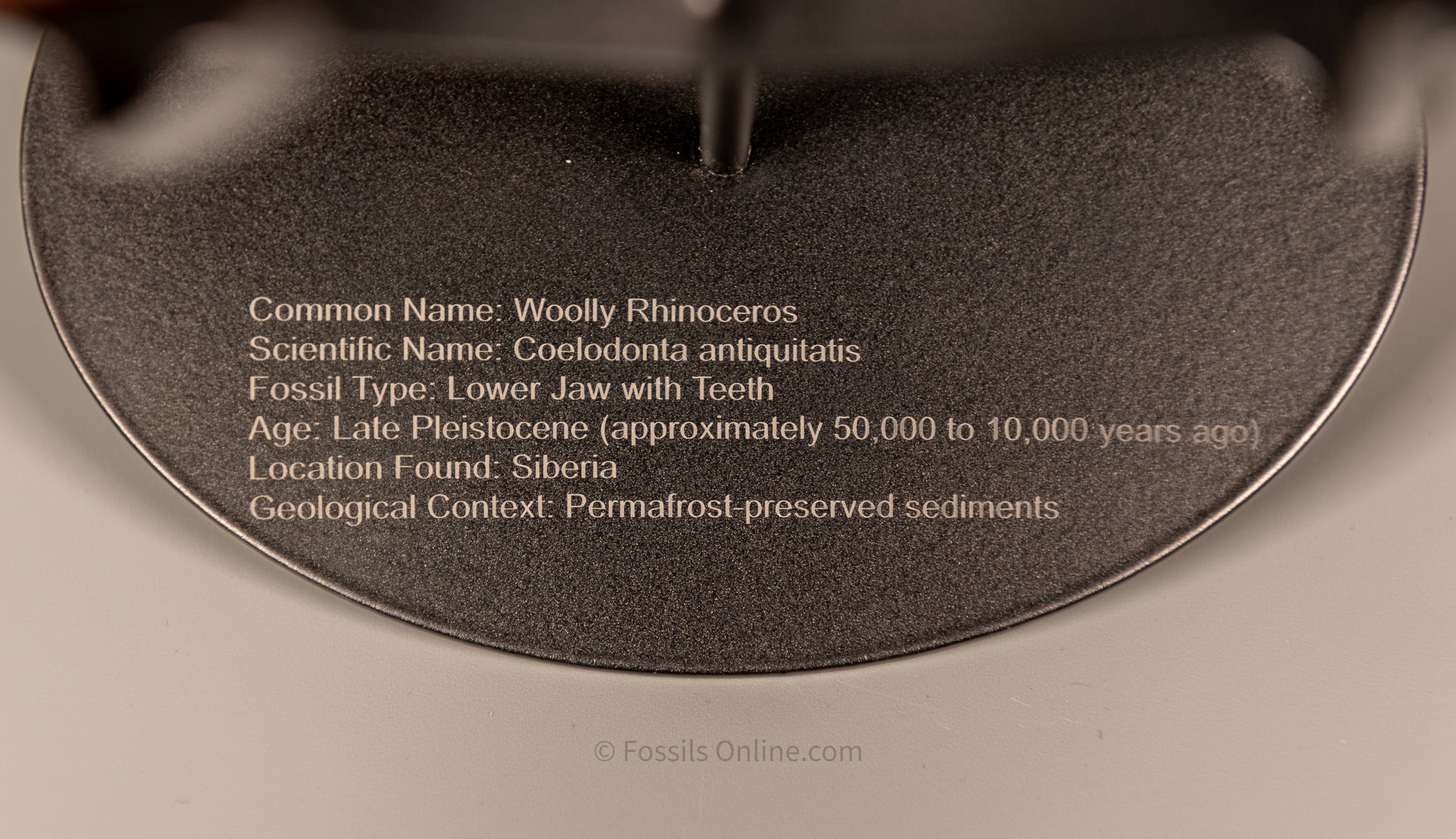 Laser Engraving Personalization Add-On $5. ONLY FOR METAL DISPLAY STAN