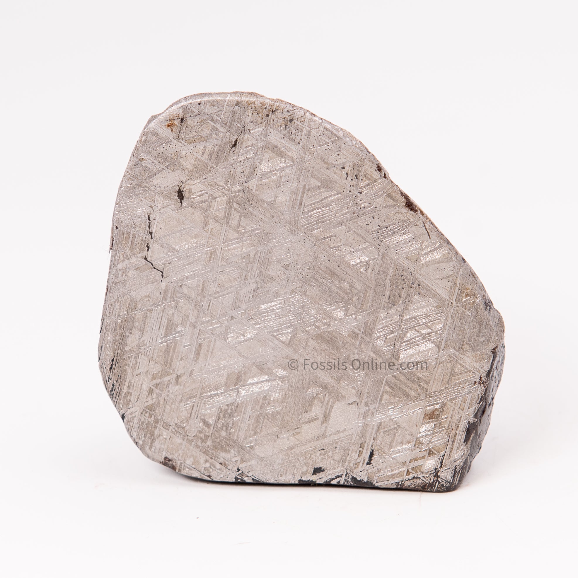 Muonionalusta Meteorite End Cut 636gr