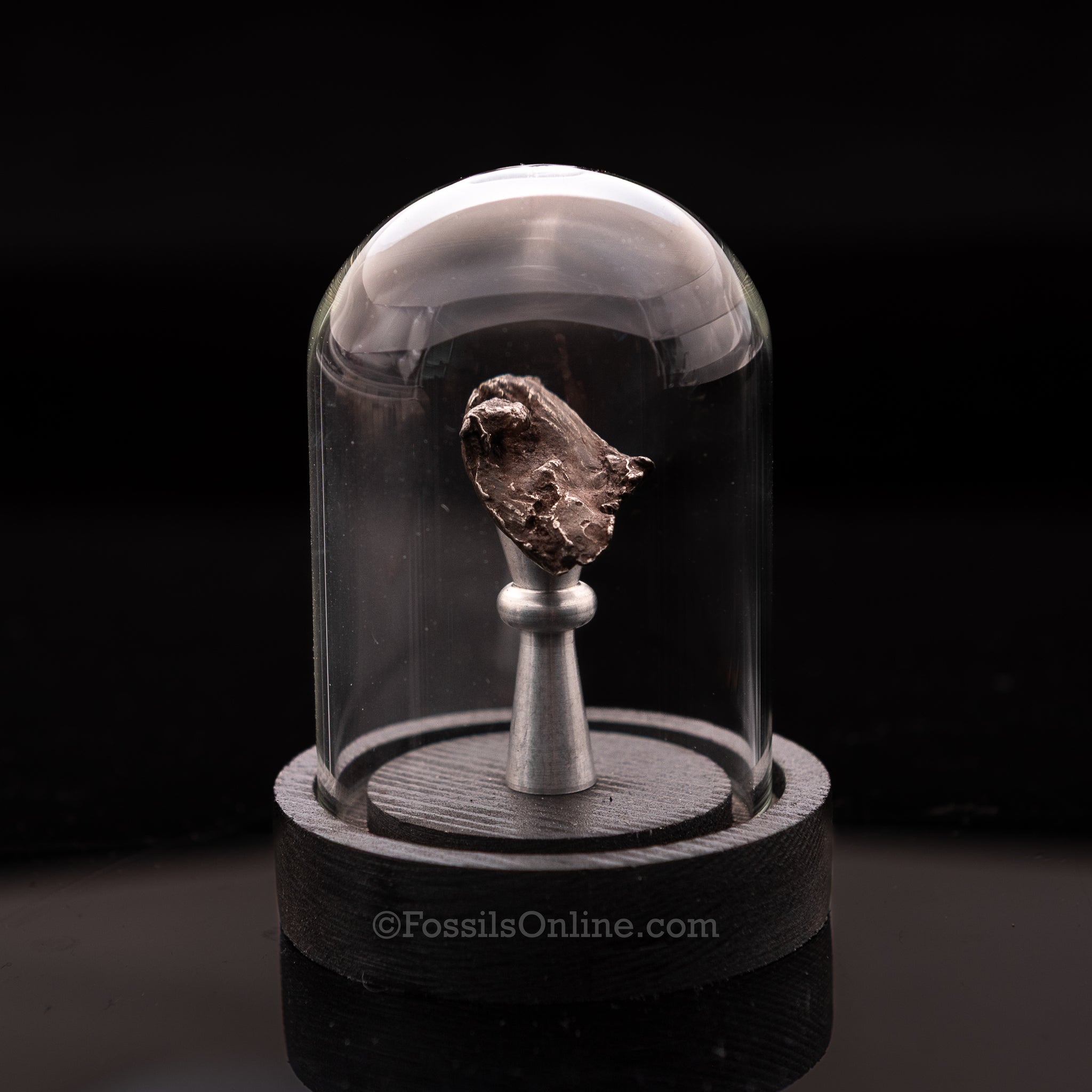 Genuine Sikhote-Alin Meteorite in Glass Dome