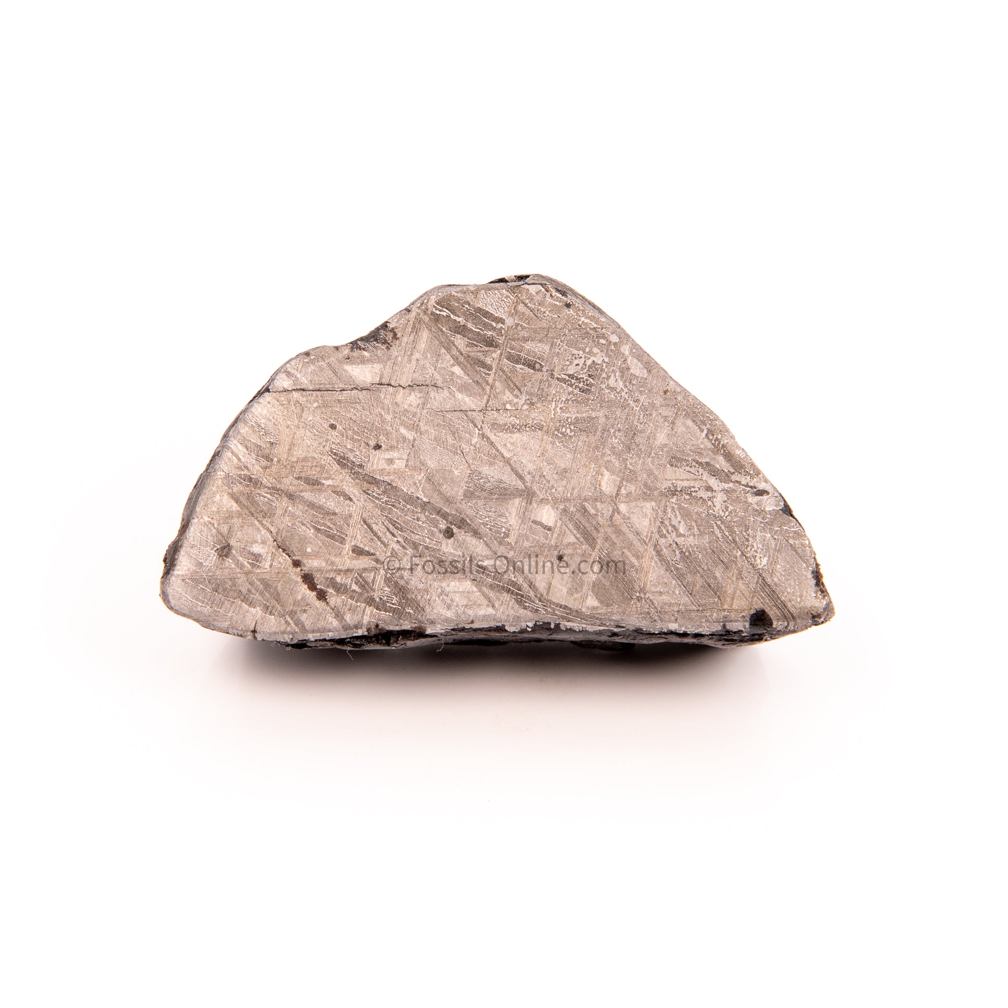 Muonionalusta Meteorite End Cut 346gr