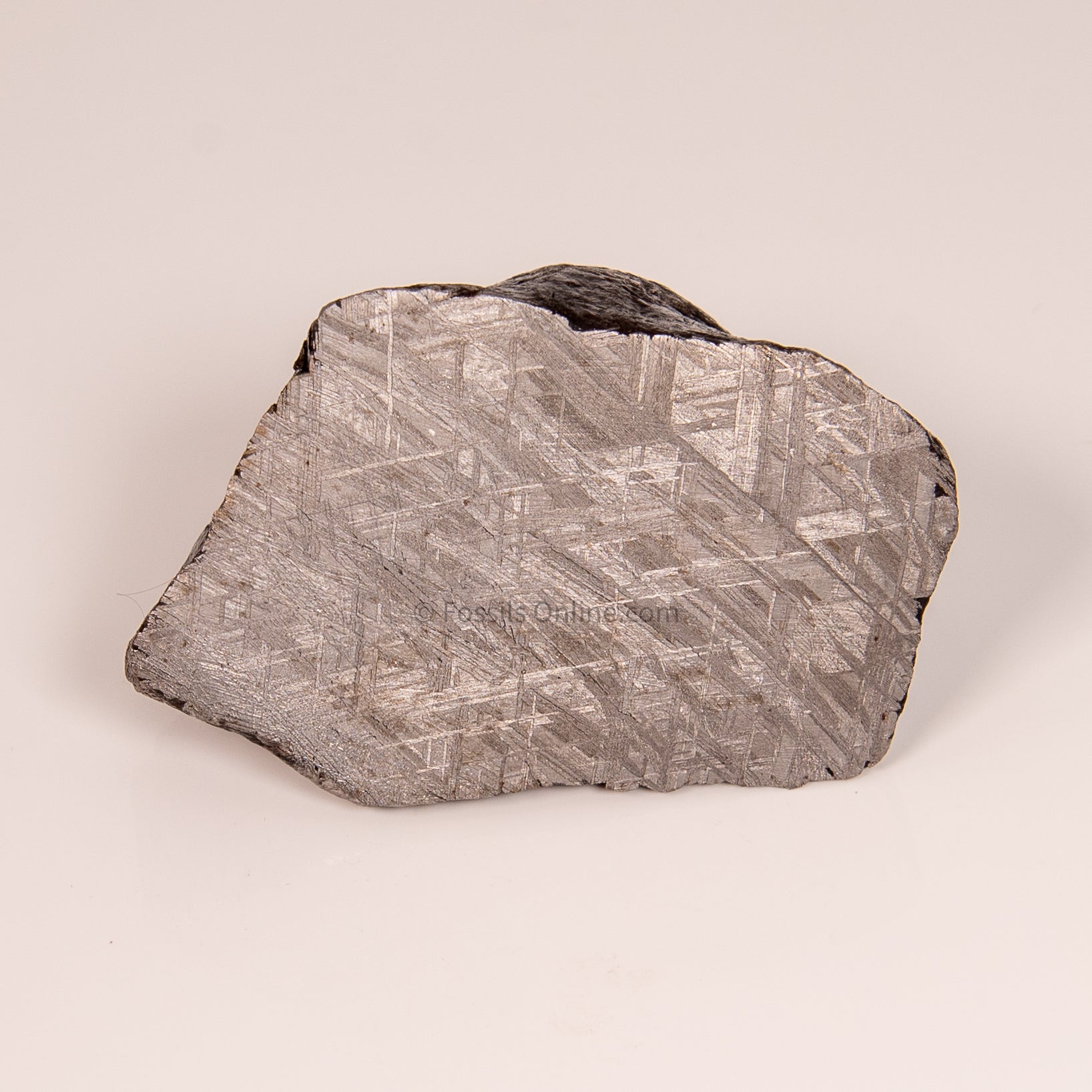 Muonionalusta Meteorite End Cut 656gr